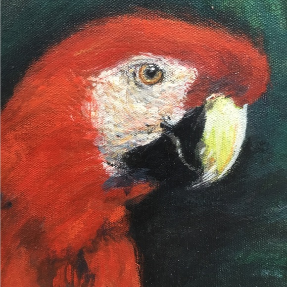unbranded | Art | Vintage Oil Painting Of Red Macaw Bird In Frame ...